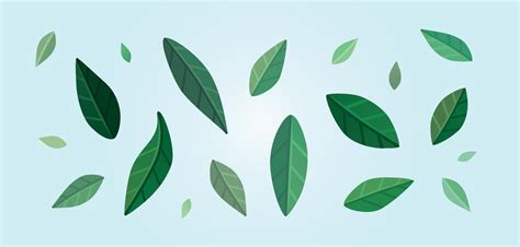 Leaf Animation Vector Art Icons And Graphics For Free Download