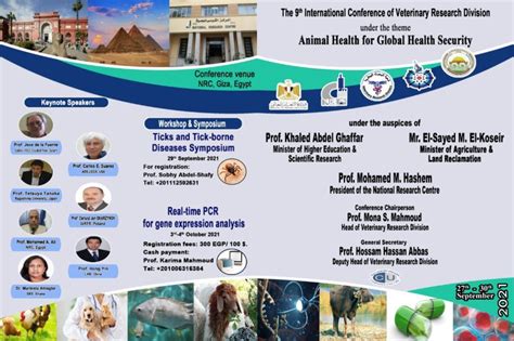 Mohamed Helal On Linkedin Invitation To Share Your Research Work At