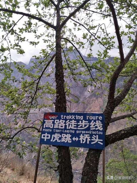 虎跳峽高路徒步世界十大經典徒步路線領略迷人峽谷風光 每日頭條