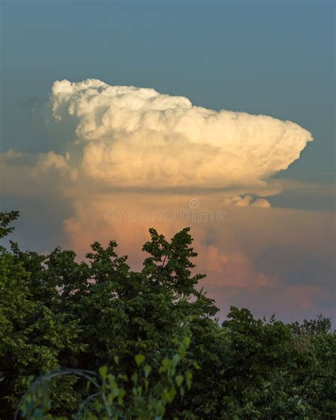 Vertical Shot Of A Big Storm Cloud Formation In The Distance With Trees