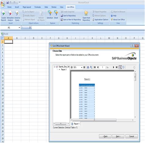 End To End Connections From Bi Bex Query To Xcelsi Sap Community