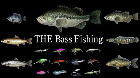 The Bass Fishing For Nintendo Switch Nintendo Official Site