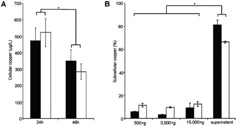 Cellular Copper Of Ko Cell Line A Total Cellular Cu Was Determined Download Scientific