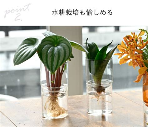 【楽天市場】hario 花瓶 ガラス フラワーベース 水耕栽培 ガラスのある生活 一輪挿し ハリオ おしゃれ：ヒトイロ 楽天市場店