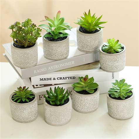 Desk Plants Desk Plant Decor Ideas For Your Office Space