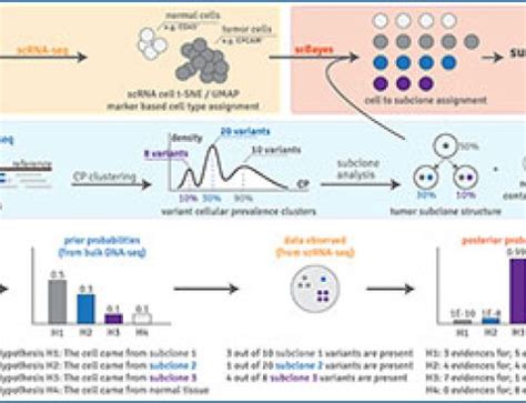 Comparison Of Cage And Rna Seq Transcriptome Profiling Using Clonally