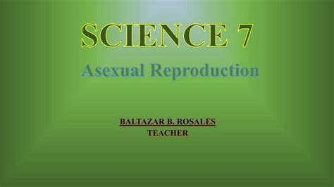 Asexual Reproduction Asexual Reproduction Ppt
