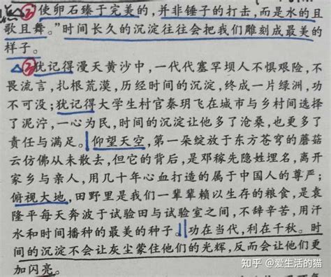 议论文分析句该怎么写 知乎