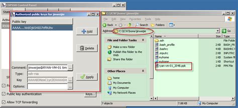 Step By Step Setup Git Server On Windows With CopSSH MsysGit And