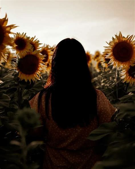 Фото в соняшниках без обличчя