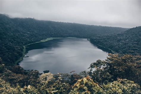 Css 客製 Select 的下拉箭頭樣式 最近工作上 Ui 設計師出圖時覺得 Select By Yc Medium