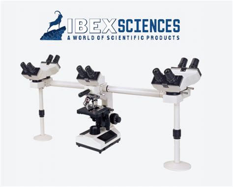N360 Multi Viewing Microscope Three Head Microscope Ibex Sciences