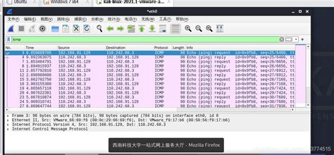 实验二：网络嗅探与协议分析技术原理及实践 实验2 网络嗅探与协议分析 csdn博客
