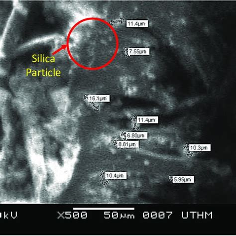 D Sample 4 5 Wt Of Silica Aerogel Download Scientific Diagram