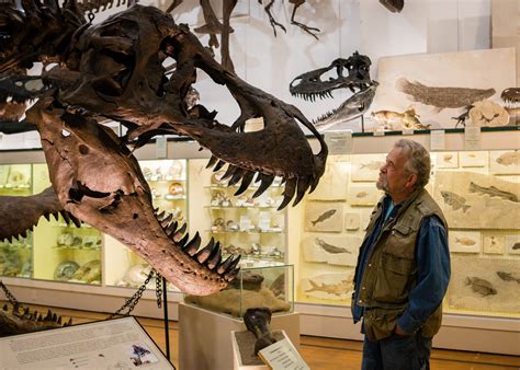 As Dinosaur Fossils Fetch Millions Theres Many A Bone To Pick The