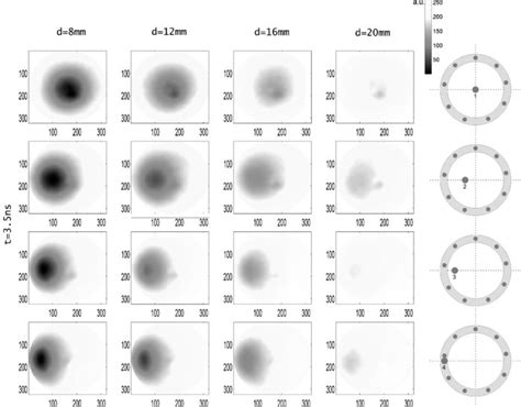 Optical System Based On Time Gated Intensified Charge Coupled Device Camera For Brain Imaging