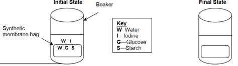 21 Membrane Protocol Biology Libretexts