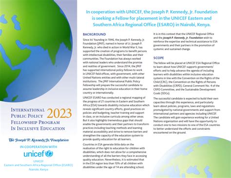 2023 International Public Policy Fellowship Program In Inclusive