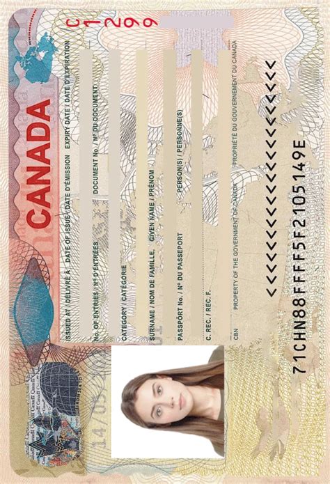 Turkish Passport Photo Size Requirements And Online Tool