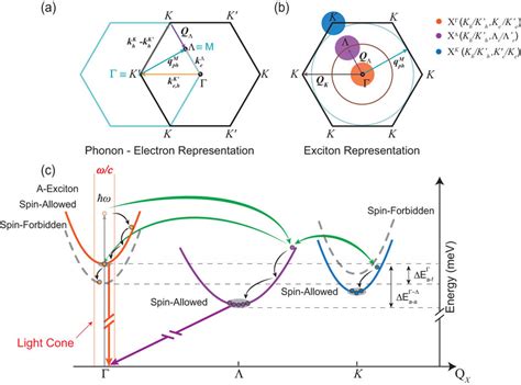 Exciton Dispersion Formation Relaxation And Recombination Processes Download Scientific