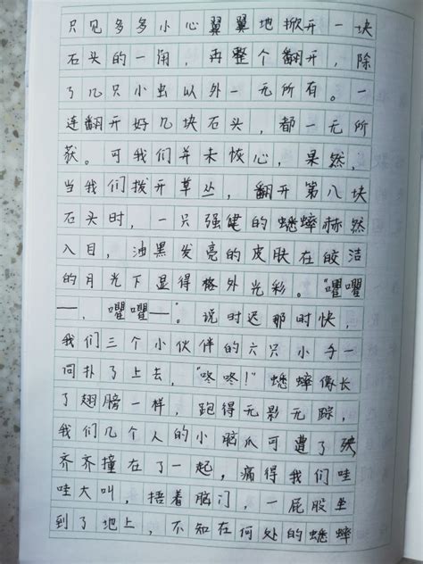 统编版语文四年级（上）单元作文（持更） 小花生
