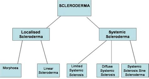 Classification Of Scleroderma It Is So Important To Know Where You Are On This Graph What