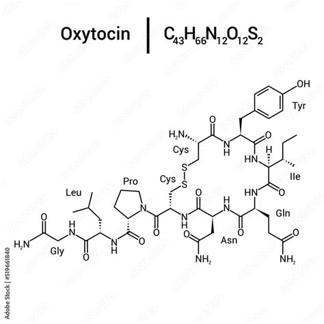Chemical Structure Of Oxytocin C43h66n12o12s2 Stock Vector Adobe Stock