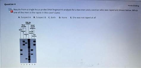 Solved Question 4 Needs Gratis Results From A Single Locus