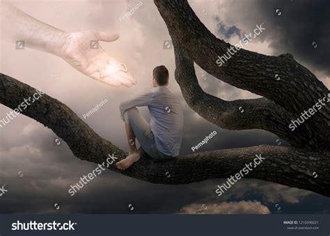 Man Sitting On Tree Branch God Stock Photo 1210396021 Shutterstock