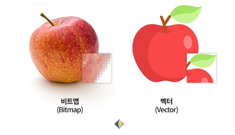 비트맵 And 벡터