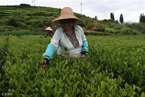 農民注意了，下月起沒有這三個證，農民養殖就「麻煩」了！ 每日頭條