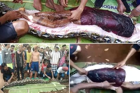 Katie Price Hires Hot Teenage Nanny Who Is Just TWO YEARS Older Than Son Harvey After Last One