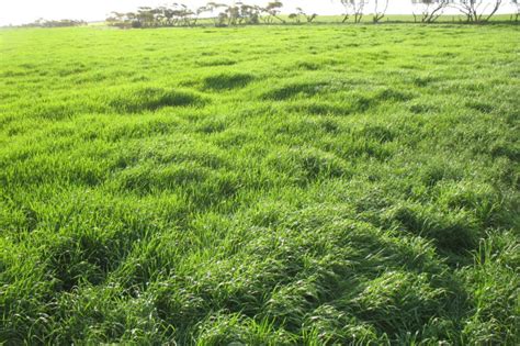 Microbiomes To Showcase Capability In The Microbiome Science Capability