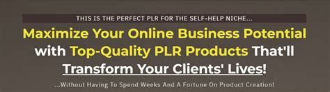Plr The Zen Of Productivity Review Unlocking Profits In The Self Help Niche