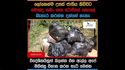 ඇල්ල අපේ මිනිස්සු විනාස කරන හැටි මෙන්න Youtube