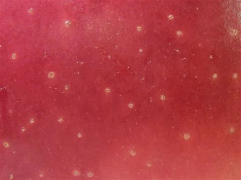 Apple Texture