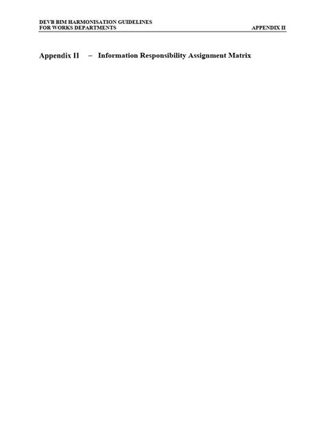 Appendix Ii Information Responsibility Assignment Matrix V2 Pdf