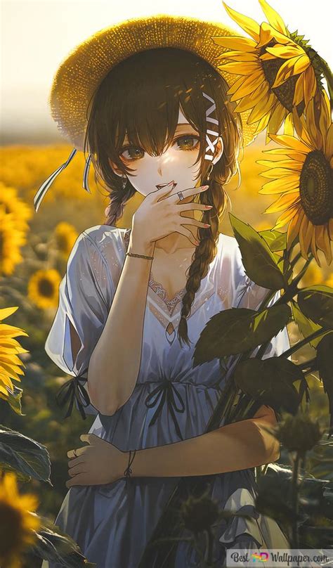 Anime Girl Sunflower Field 4k Wallpaper Download