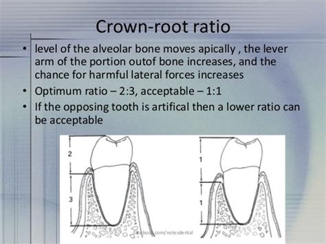 Lect 1 Introduction 011723 Flashcards Quizlet