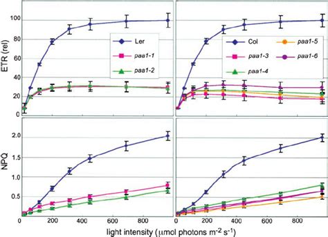 Light Intensity Dependence Of Steady State Chlorophyll Fluorescence Download Scientific Diagram