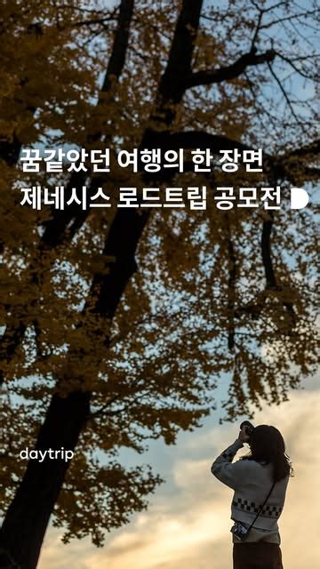 데이트립 🐾나보다 강아지가 더 좋아하는 넓은 마당이 있는 반려견 동반 카페 13곳 3월 23일 오늘은 국제 강아지의