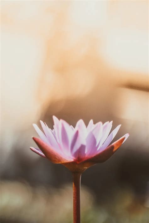 Revive Wellness And Massage Spa