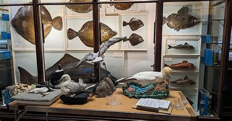 Got To Do Some Cool Stuff At Work Todaymore Information On The