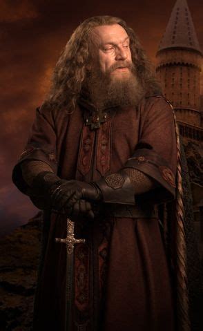 A Very Harry Halloween On Tumblr Hogwarts Portraits