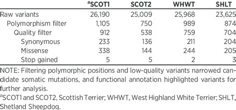 Variant Filtration And Annotation In The Four InvTCC Tumors Download Table