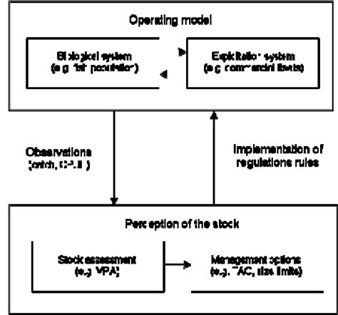 conceptual framework of the simulation model download scientific diagram