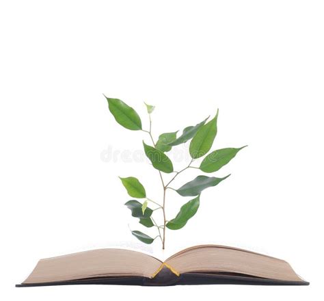 Life book stock image. Image of literary, library, ornament - 2934173