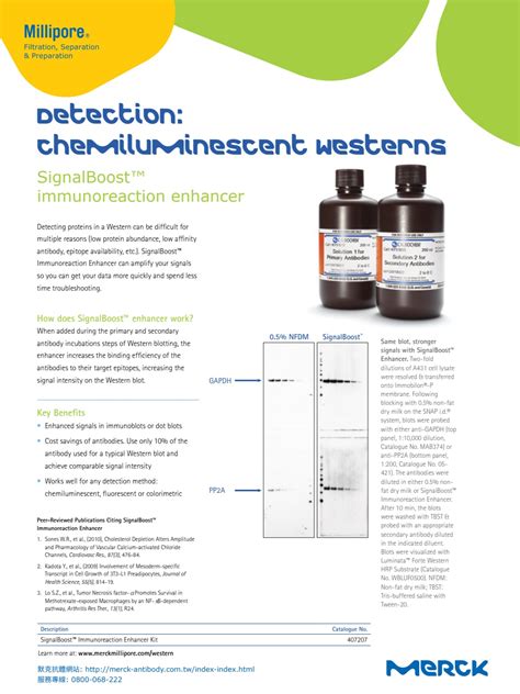 Detection Chemiluminescent Westerns 2018 En Merck Dealer