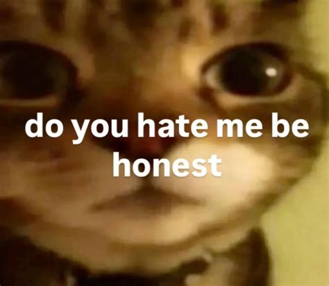 Binary Mean Cat ☕☕ Credit Unknown Instagram