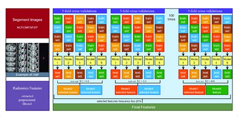 Image Segmentation And Feature Extraction Selection Schematic Diagram Download Scientific